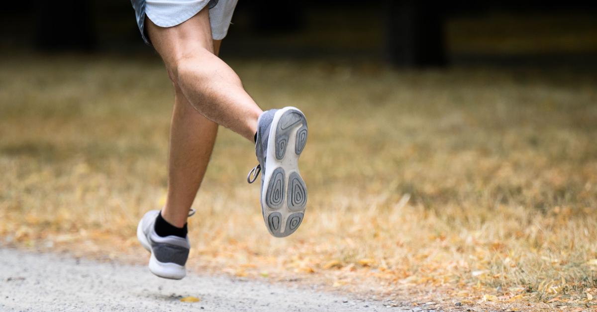 Wormel: Kampf mit dem inneren Schweinehund